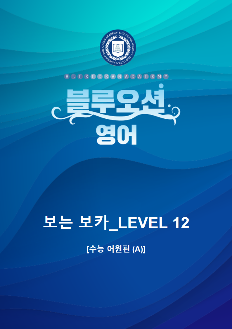 블루오션 보는 보카 LEVEL 12 - 쏠북