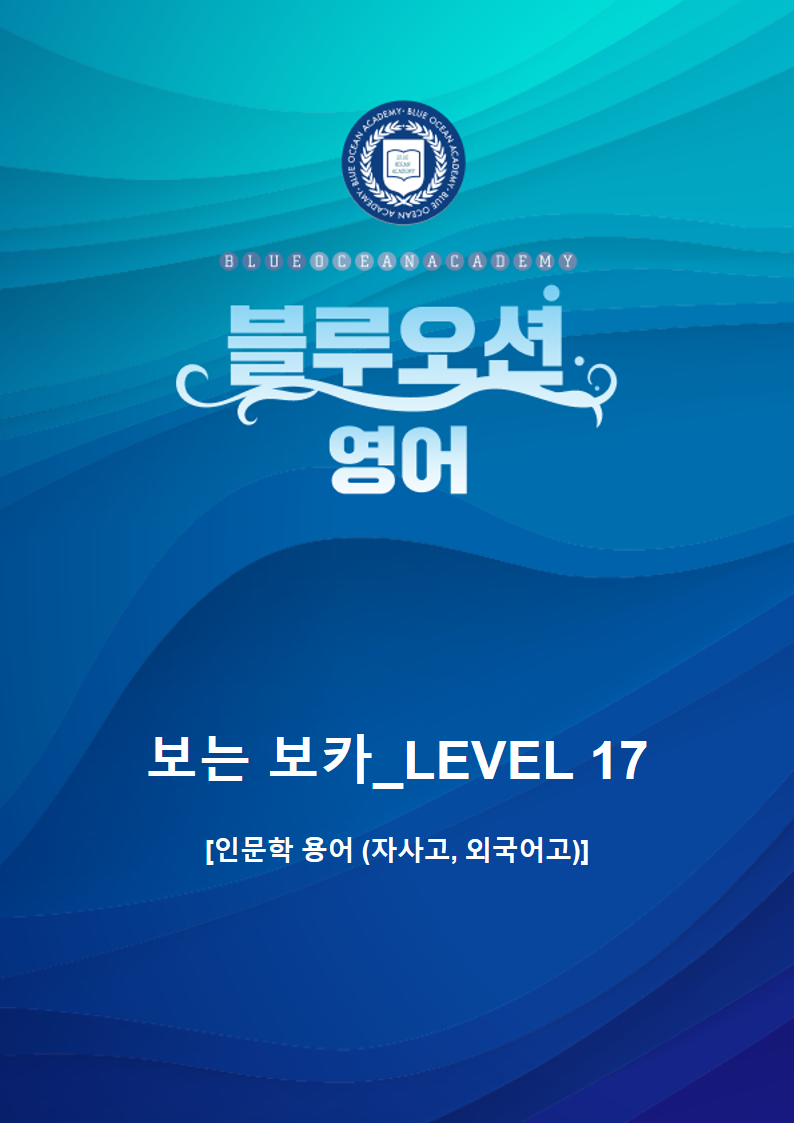 블루오션 보는 보카 LEVEL 17 - 쏠북